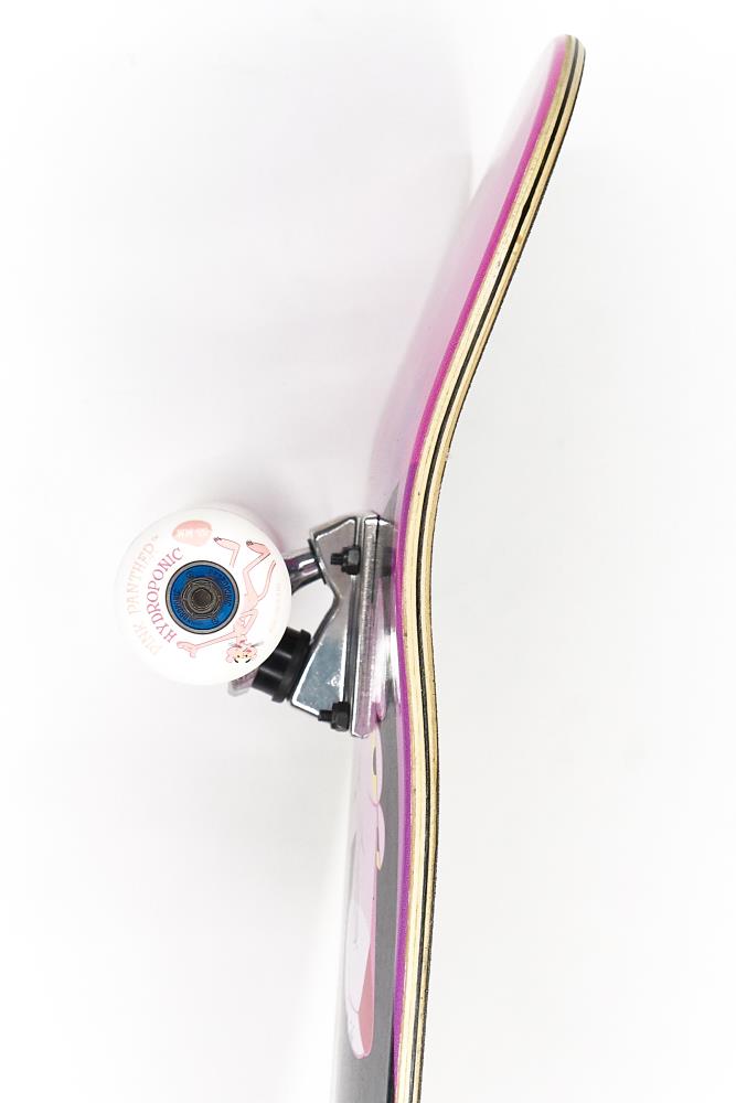 Hydroponic X Pink Panther Rest Complete | Skateboard Completes | Skate ...